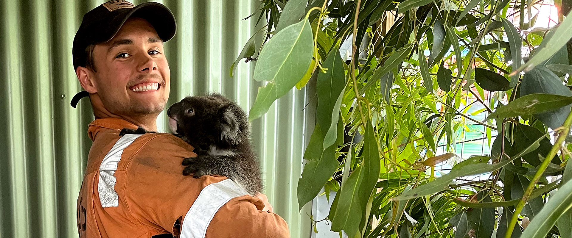 Active Tree Services | Supporting Communities