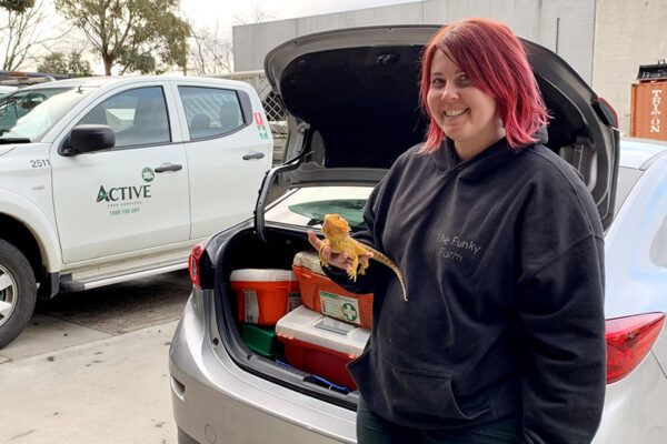 Active Tree Services | Supporting Communities