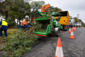 Active Tree Services | What We Do