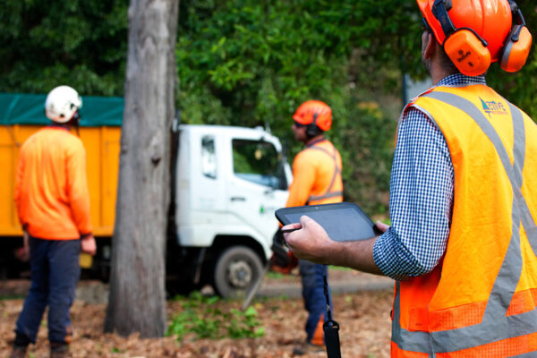 Active Tree Services | Active Mobile