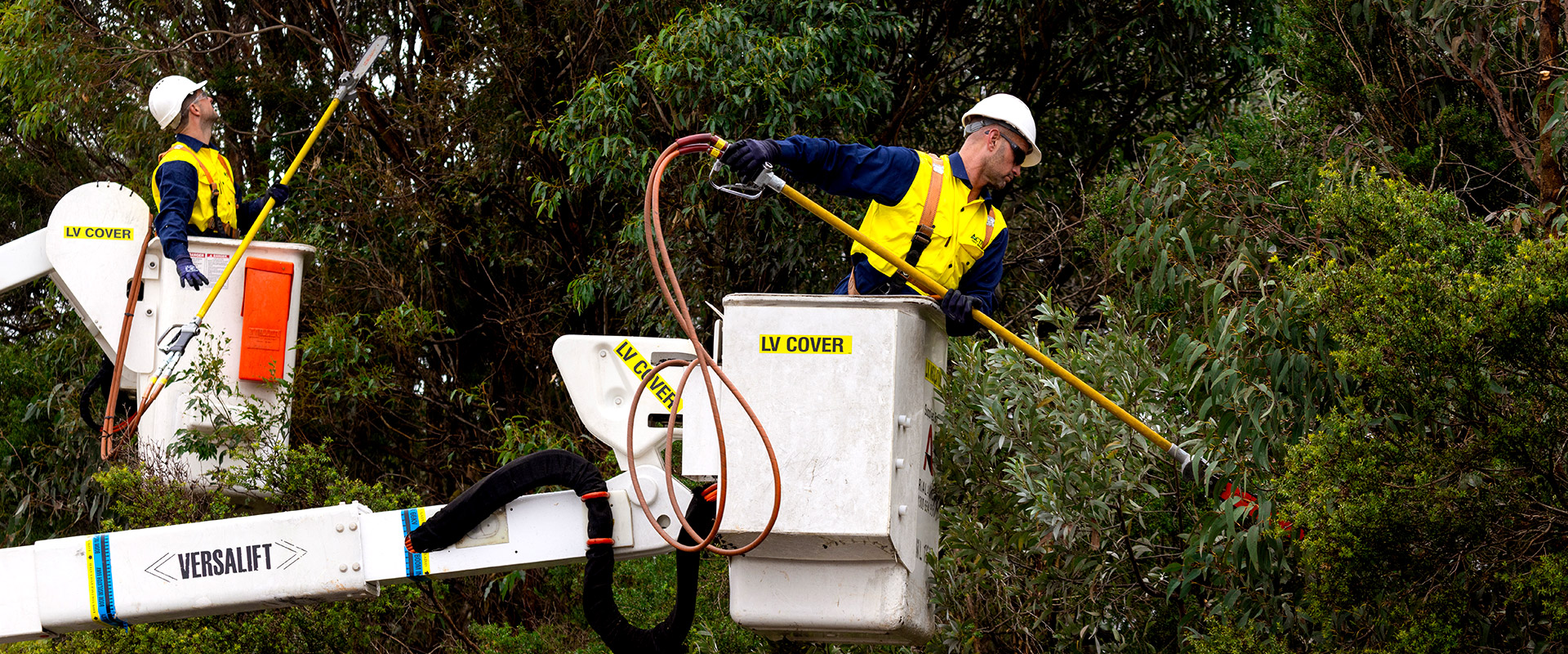 Active Tree Services | Who We Are