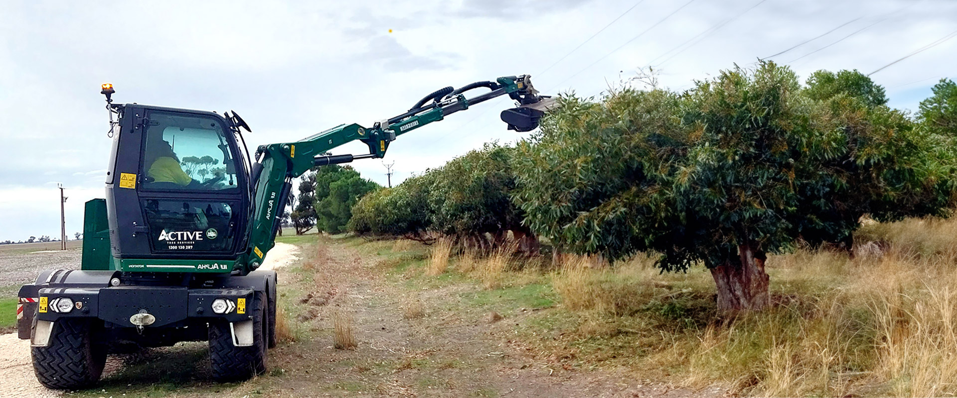 Active Tree Services | Who We Work With