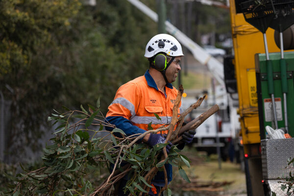 Active Tree Services | Who We Work With