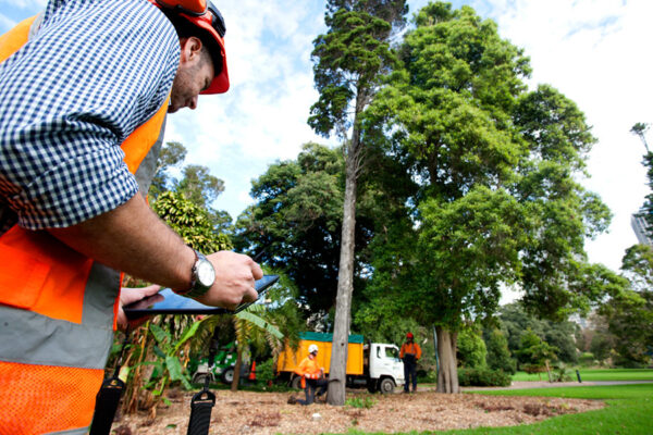 Active Tree Services | Active Mobile