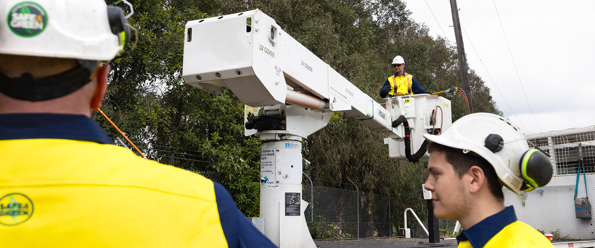 Contact - Active Tree Services