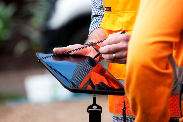 Active Tree Services | What We Do