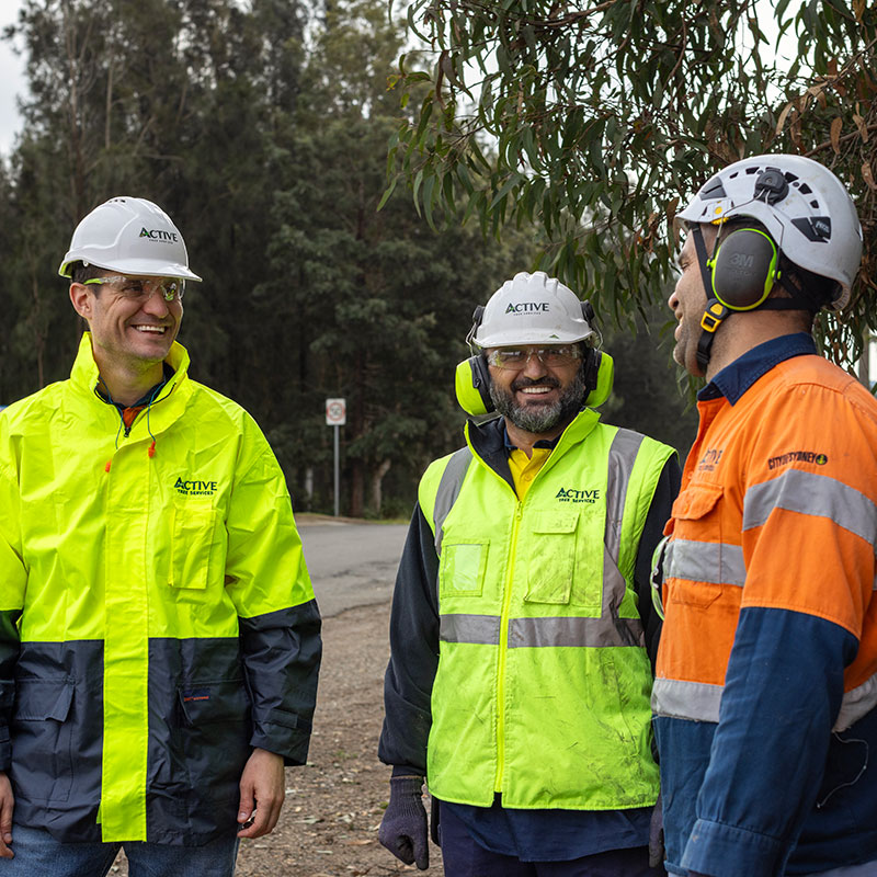 Active Tree Services | Join Us